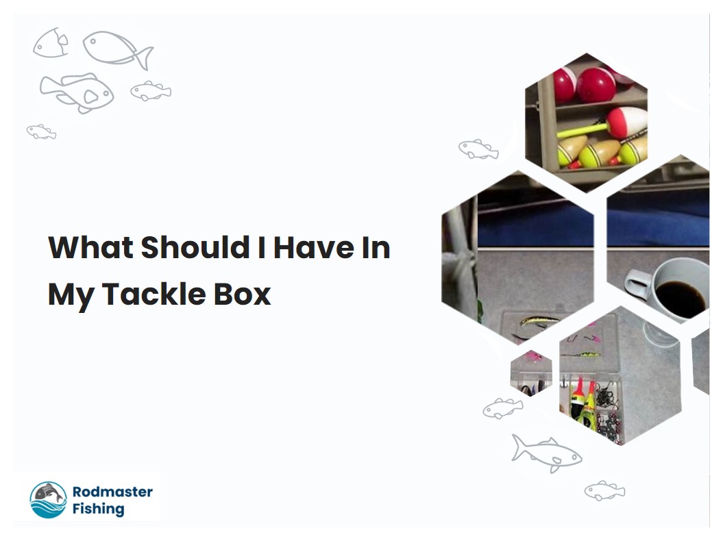 What Should I Have In My Tackle Box Rodmasterfishing